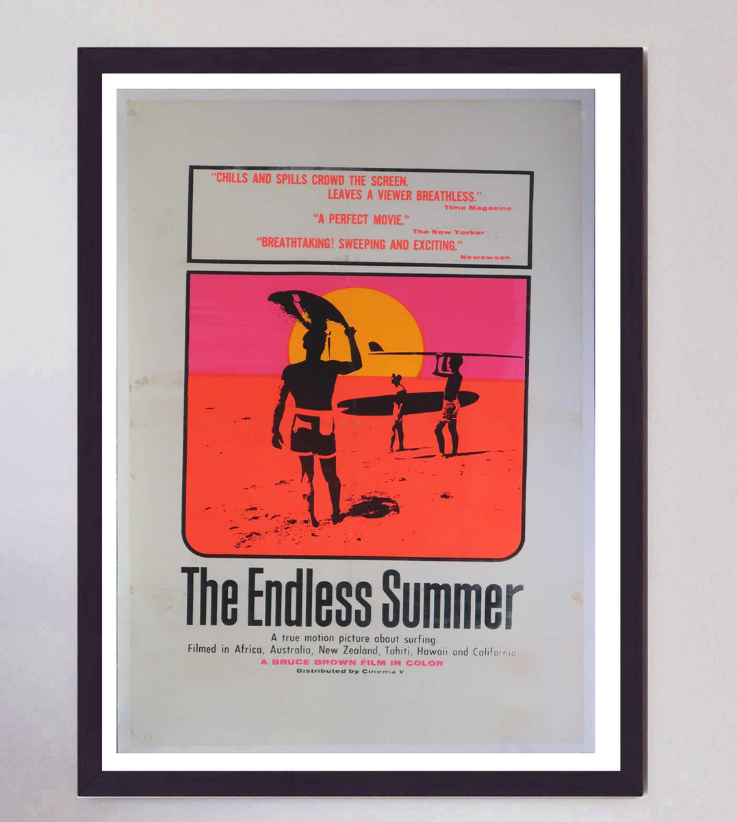 Shop The Endless Summer Original Vintage Poster | Film Posters at ...