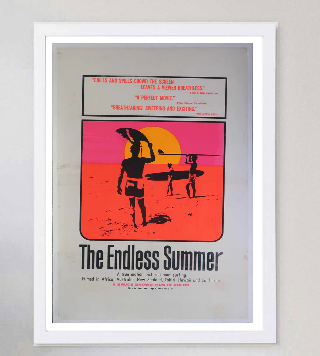Shop The Endless Summer Original Vintage Poster | Film Posters at ...